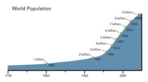 Inflation, looking back for forward insights | The Bear Traps Report Blog